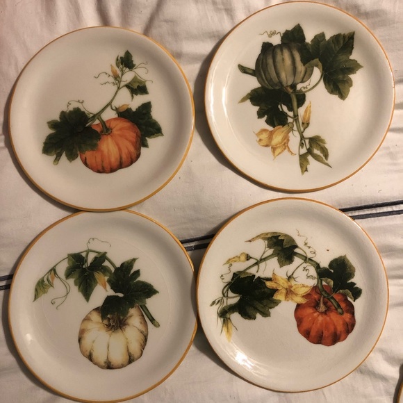 Williams Sonoma | Dining | Williams Sonoma Botanical Pumpkin Plates Set ...